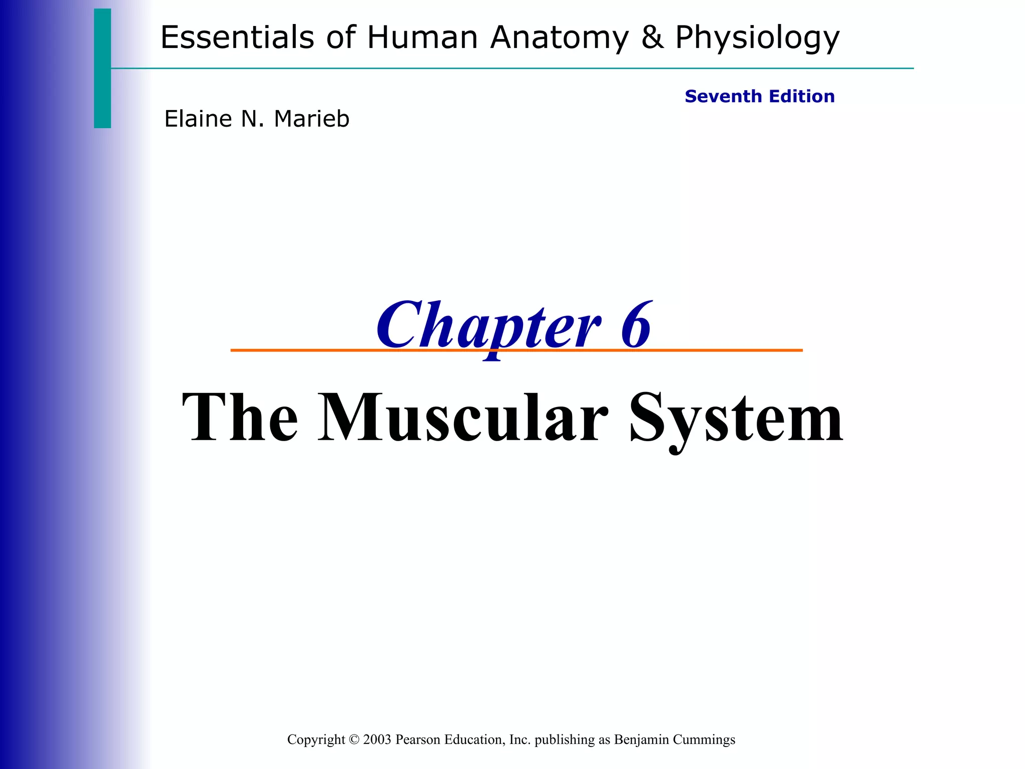 Muscle system | PPT