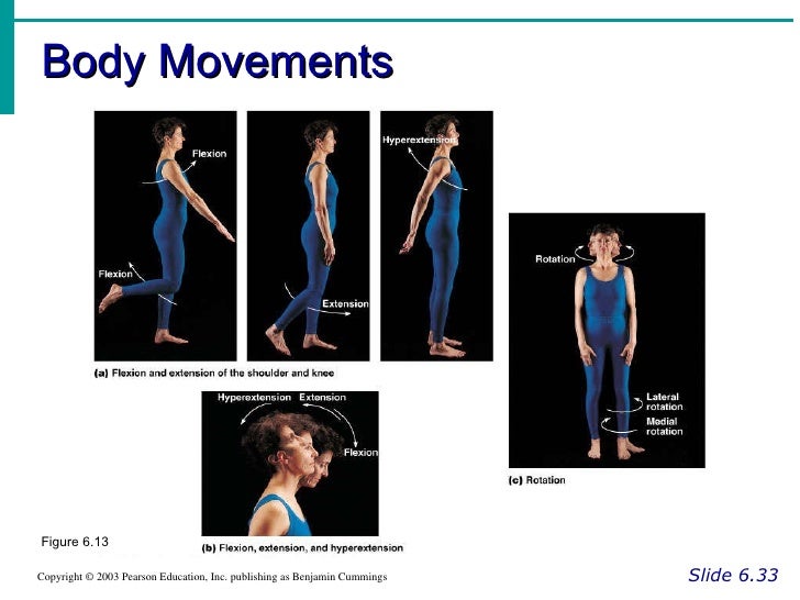 Movements Of The Body Anatomy