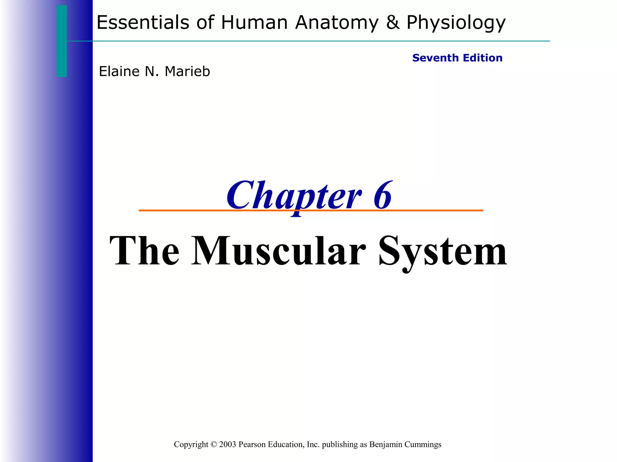 Muscle system | PPT
