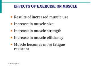 Muscular System | PPT