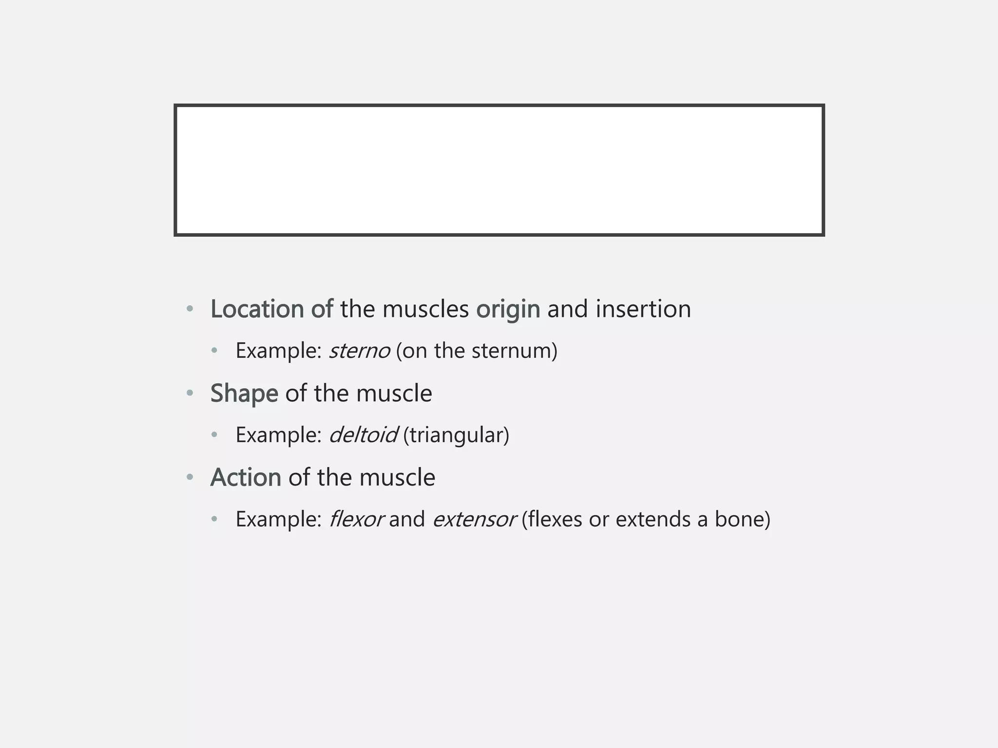 muscle_system.ppt | Biological Sciences | Science