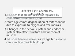 muscle_system.ppt