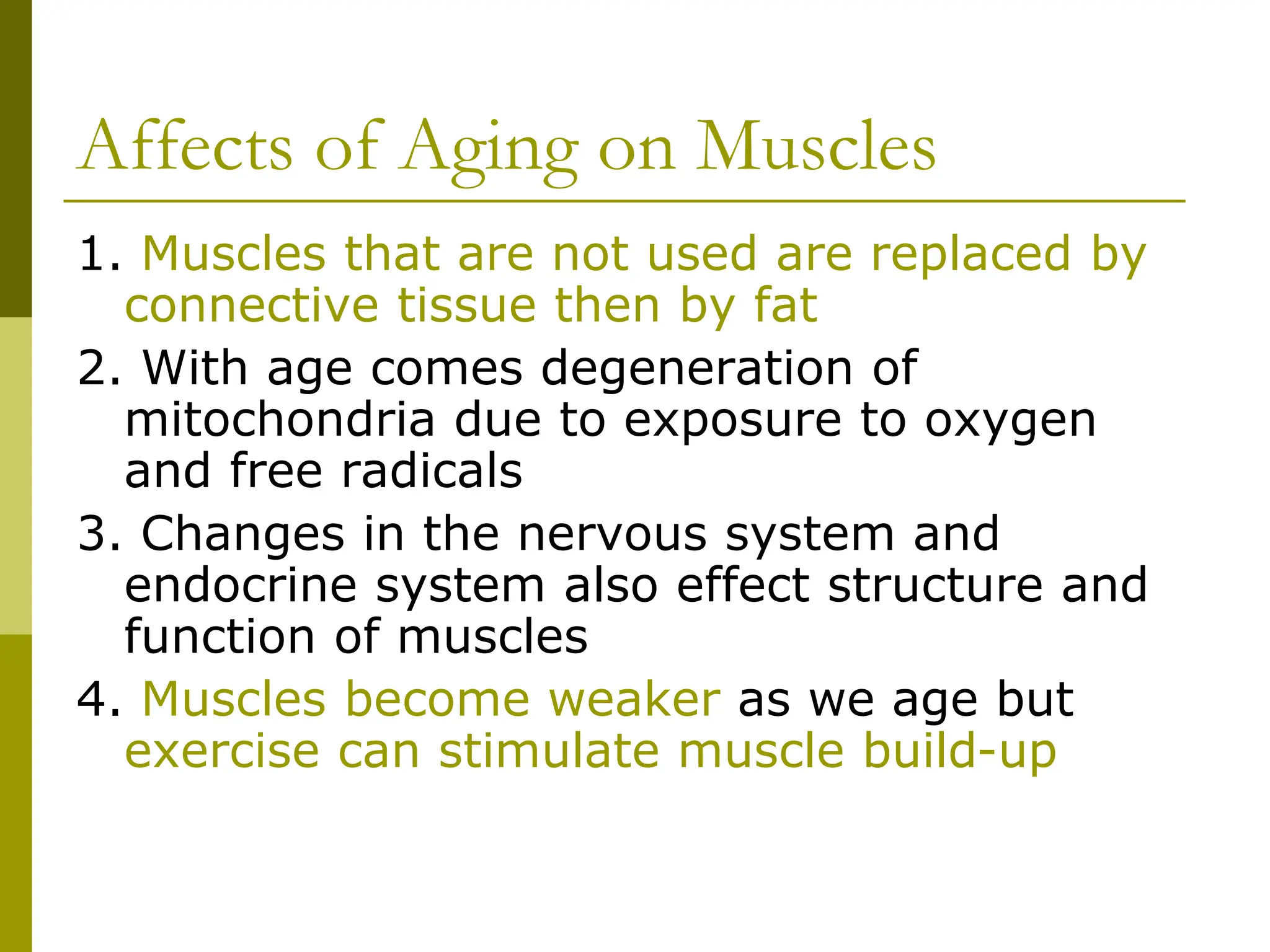 muscles. explanation for kids. primary /elementary students | PPT