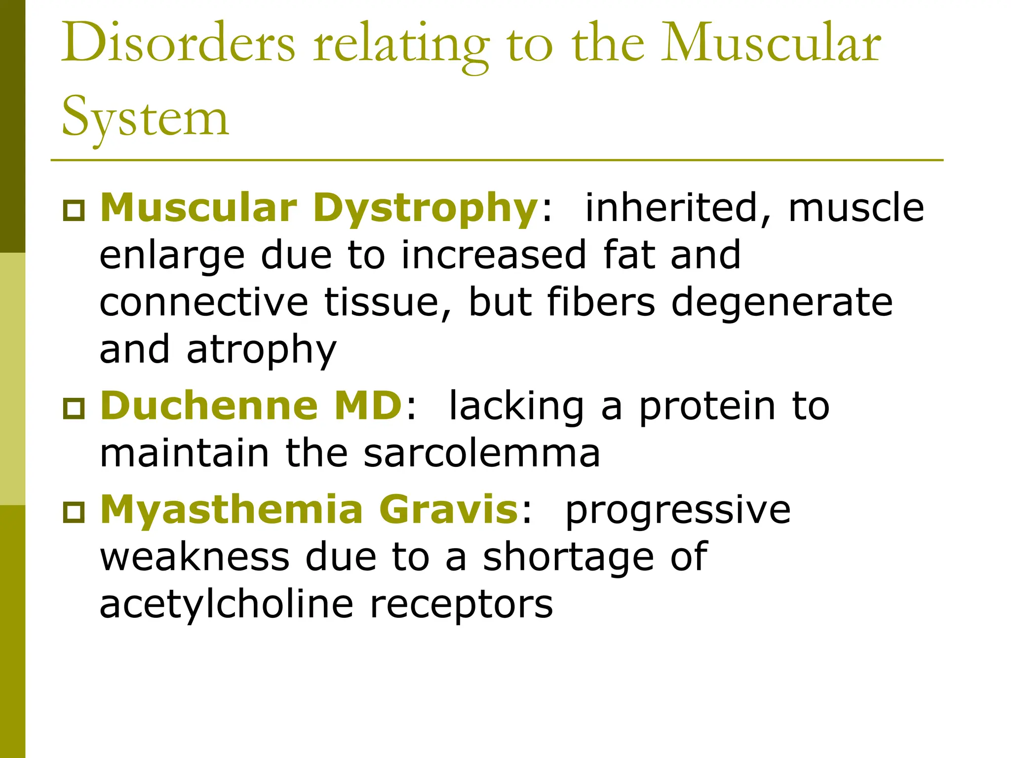 muscles. explanation for kids. primary /elementary students | PPT