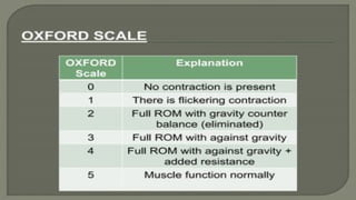Manual Muscle Testing, Assessment And Grading | PPTX