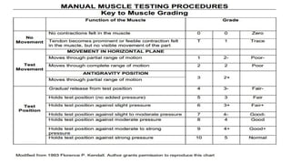 Manual Muscle Testing, Assessment And Grading | PPTX