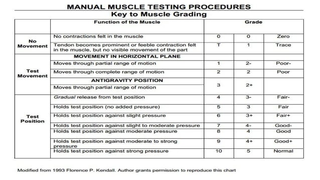 Manual Muscle Testing, Assessment And Grading | PPTX