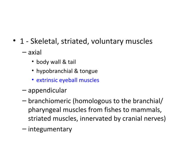 Muscle tissue 1 2 (comparative vertebrate anatomy) | PPT