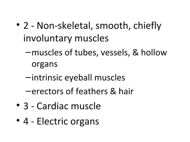 Muscle tissue 1 2 (comparative vertebrate anatomy) | PPT