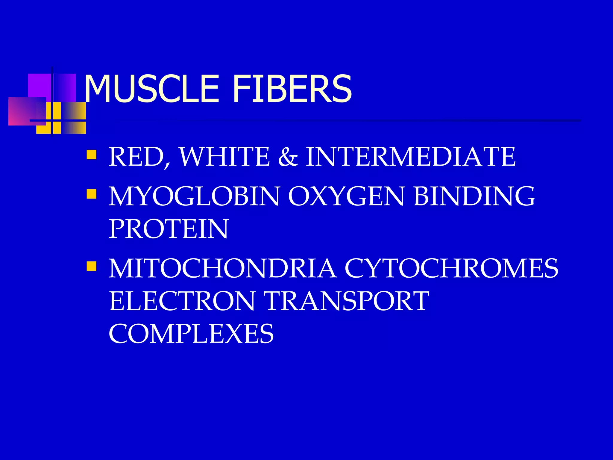Muscle tissue | PPT | Biological Sciences | Science