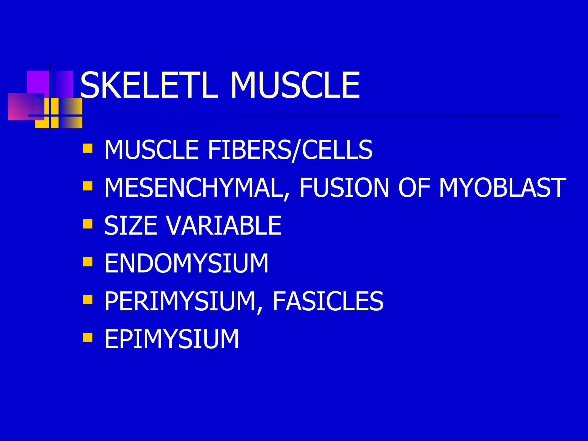 Muscle tissue | PPT | Biological Sciences | Science