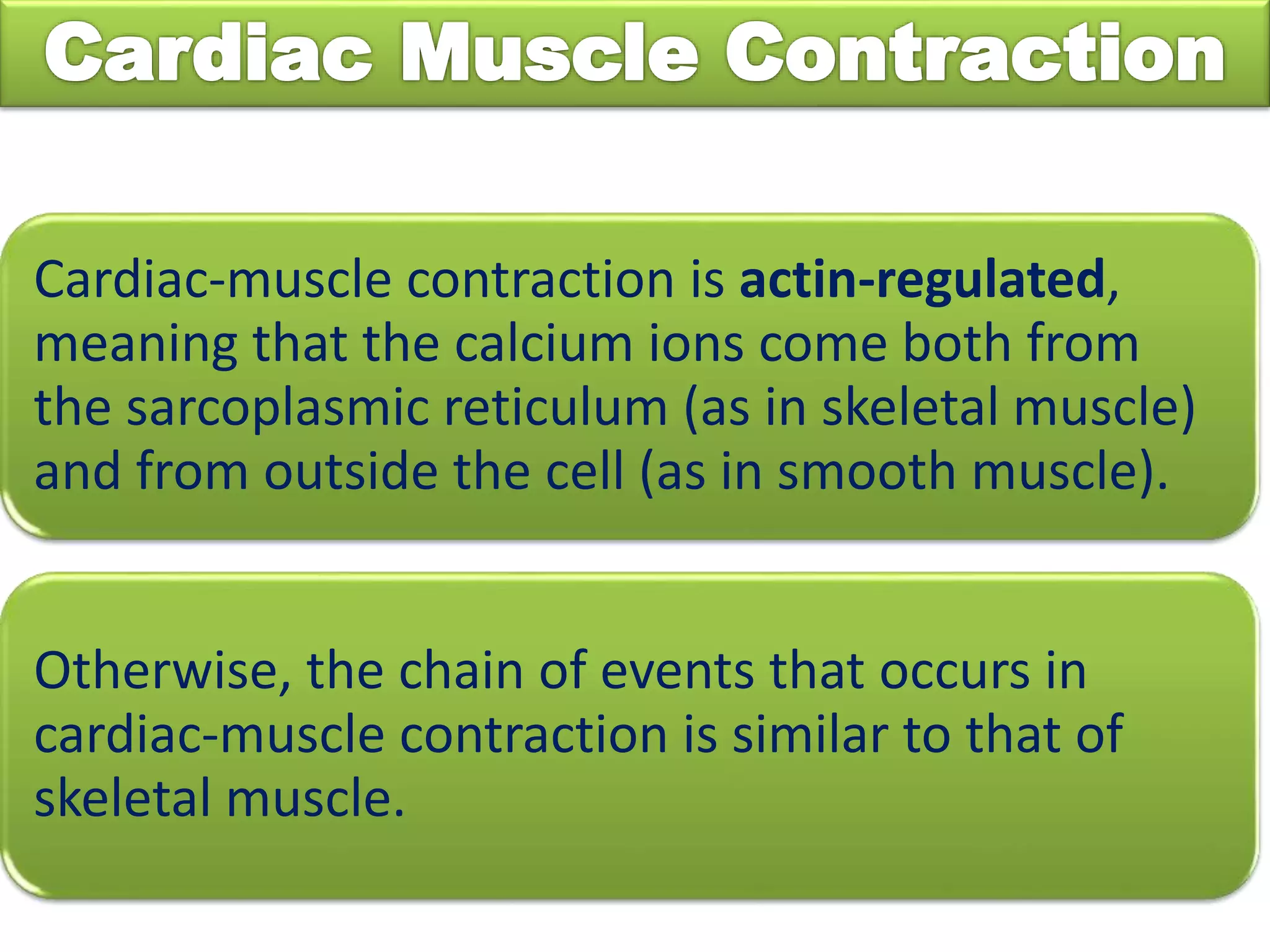Muscle Tissue | PPTX