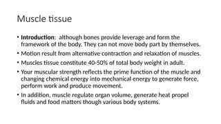 Muscle tissue-2.pptx muscle tissue and its function | PPT