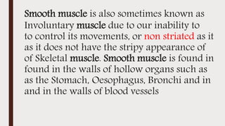 Muscle tissue | PPTX