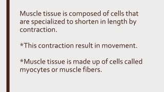 Muscle tissue | PPTX