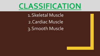 Muscle tissue | PPTX