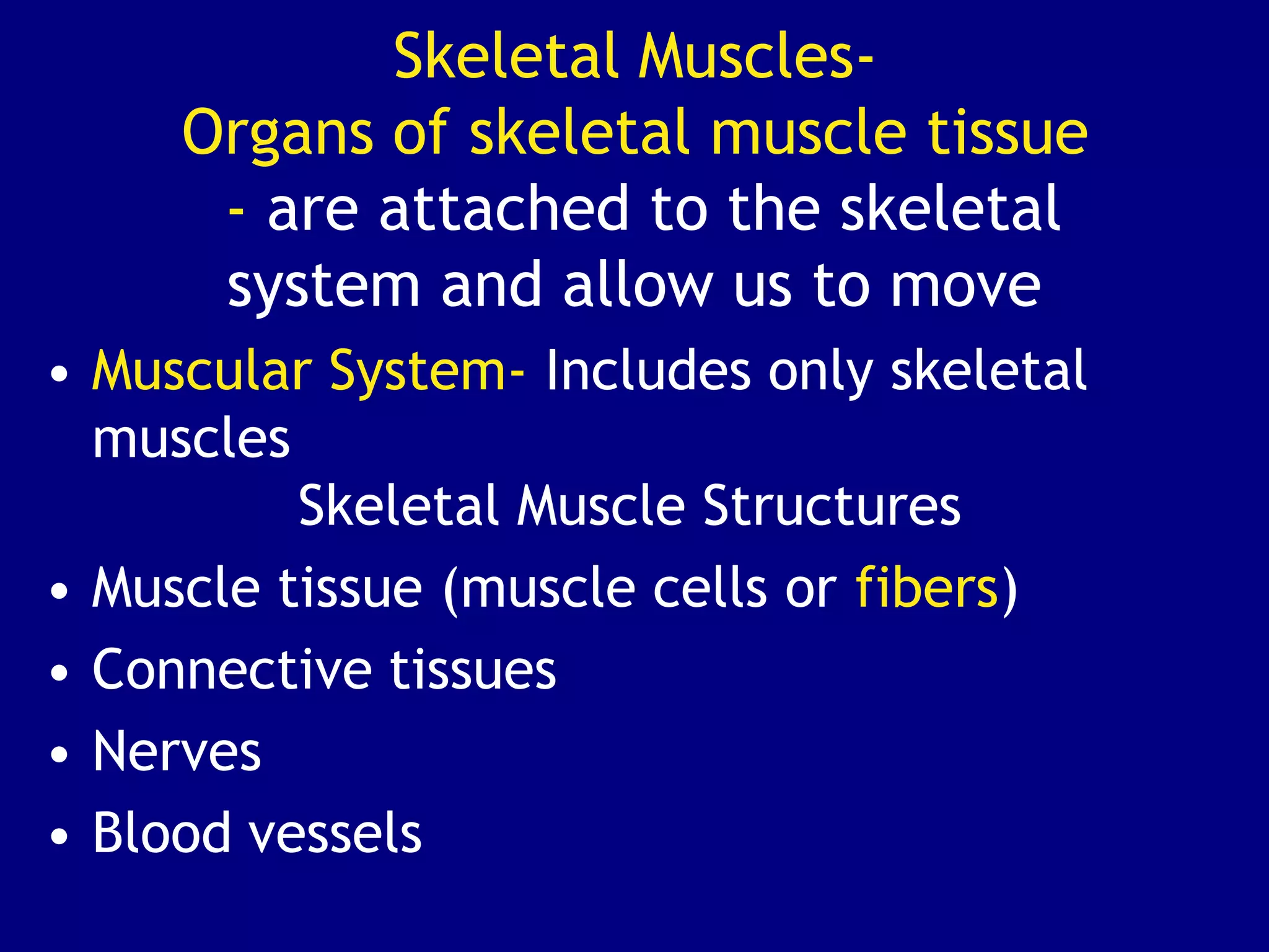 MUSCLE TISSUE.pptx
