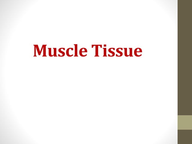 Muscle Tissue.pptx
