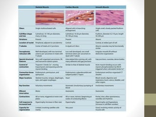 Muscle Tissue.pptx