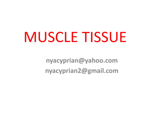 MUSCLE TISSUE.ppt | Heart and Cardiovascular Diseases | Diseases and ...