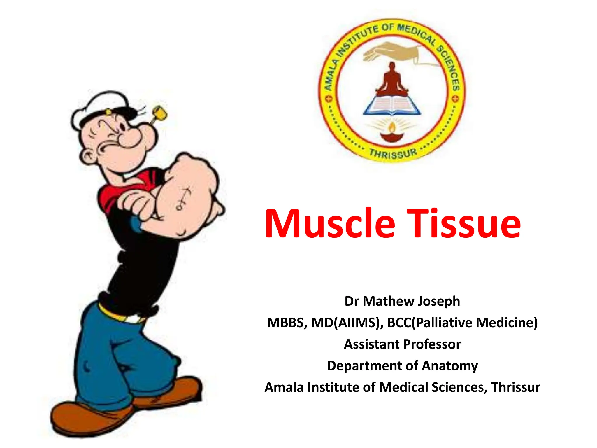 Gross Anatomy & Histology of Muscle Tissue.pptx