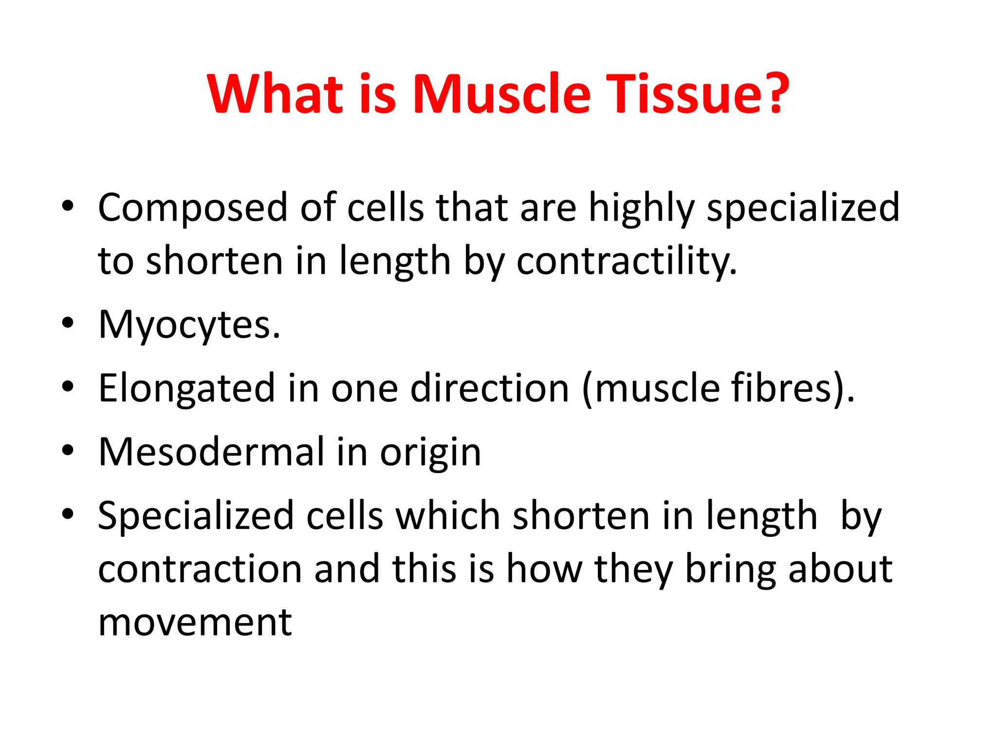 Gross Anatomy & Histology of Muscle Tissue.pptx | Biological Sciences ...