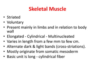 Gross Anatomy & Histology of Muscle Tissue.pptx