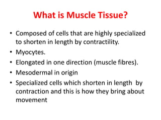 Gross Anatomy & Histology of Muscle Tissue.pptx