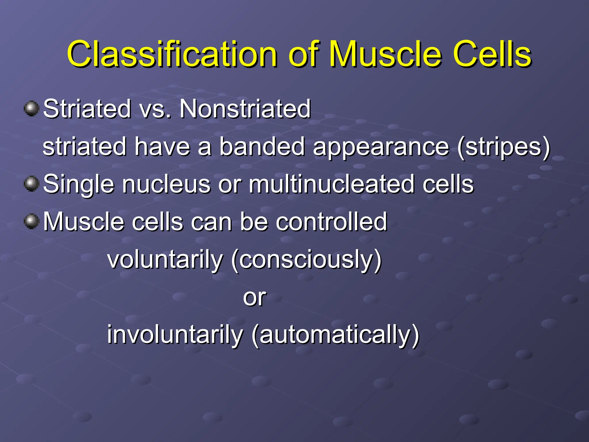 muscle_tissue.ppt mussscle tissue pharmacology | PPT