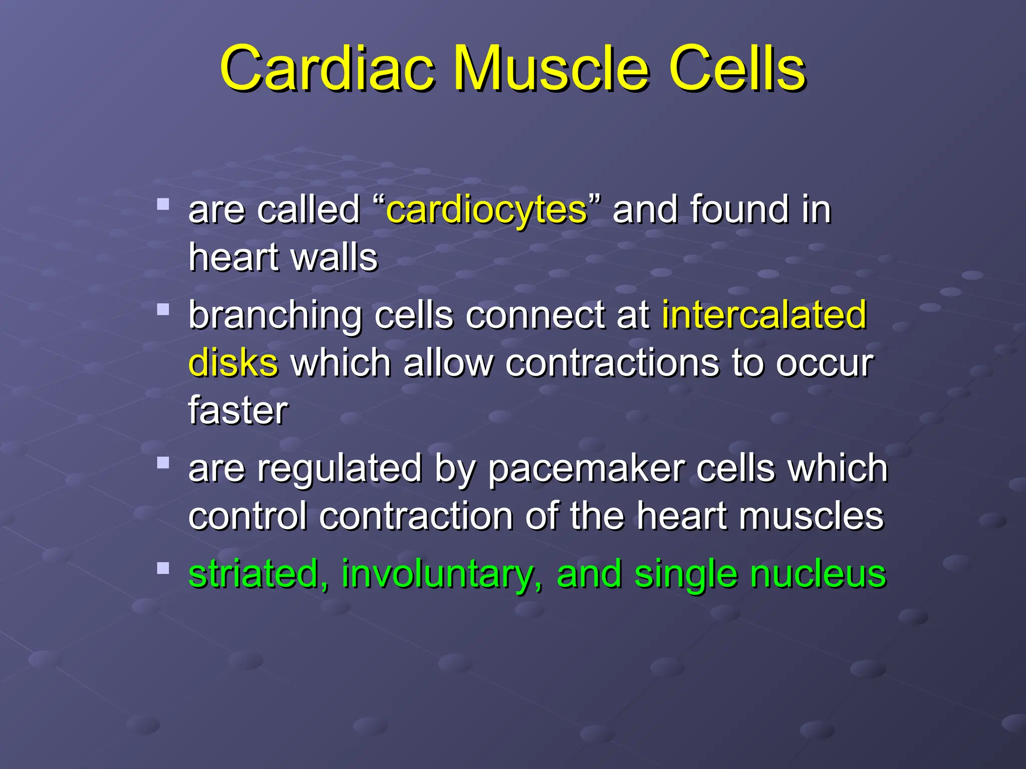 muscle_tissue.ppt mussscle tissue pharmacology | PPT