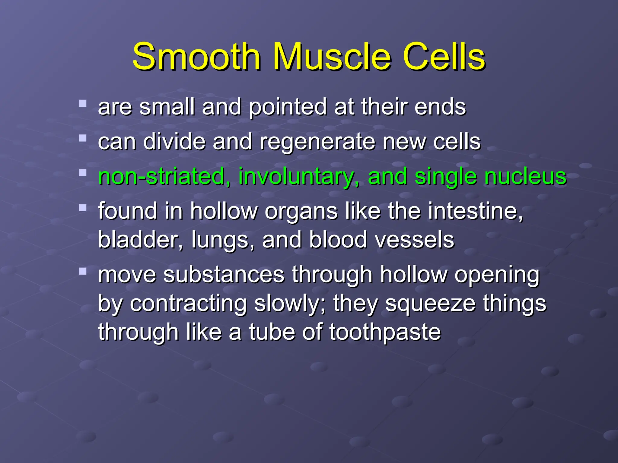 muscle_tissue.ppt mussscle tissue pharmacology | PPT