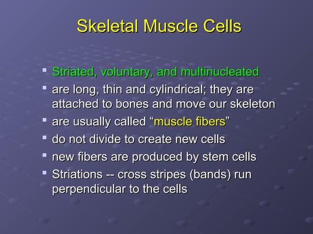muscle_tissue.ppt mussscle tissue pharmacology | PPT