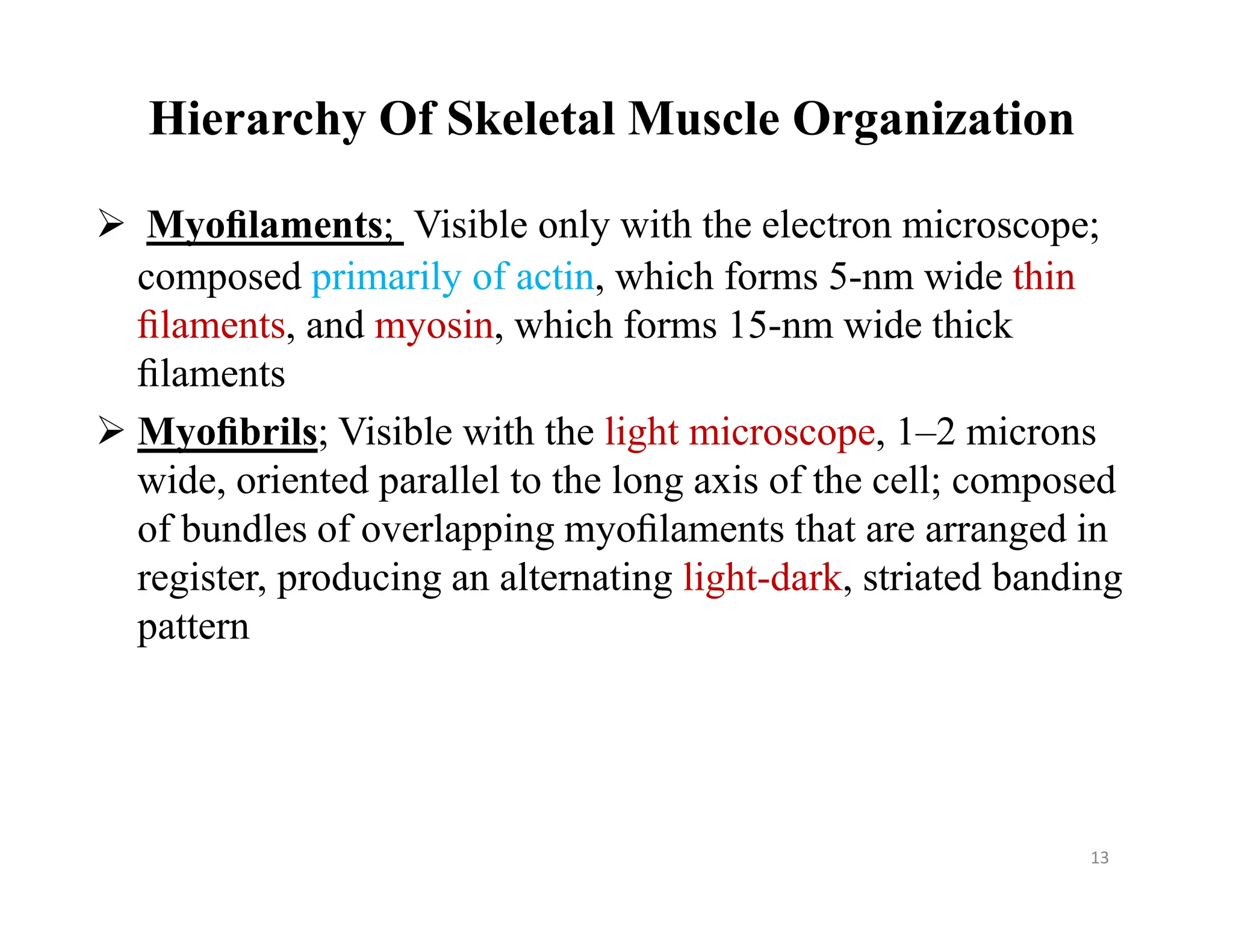 muscle tissue 2.pdffufygugyytyfyytygygygyf | PDF