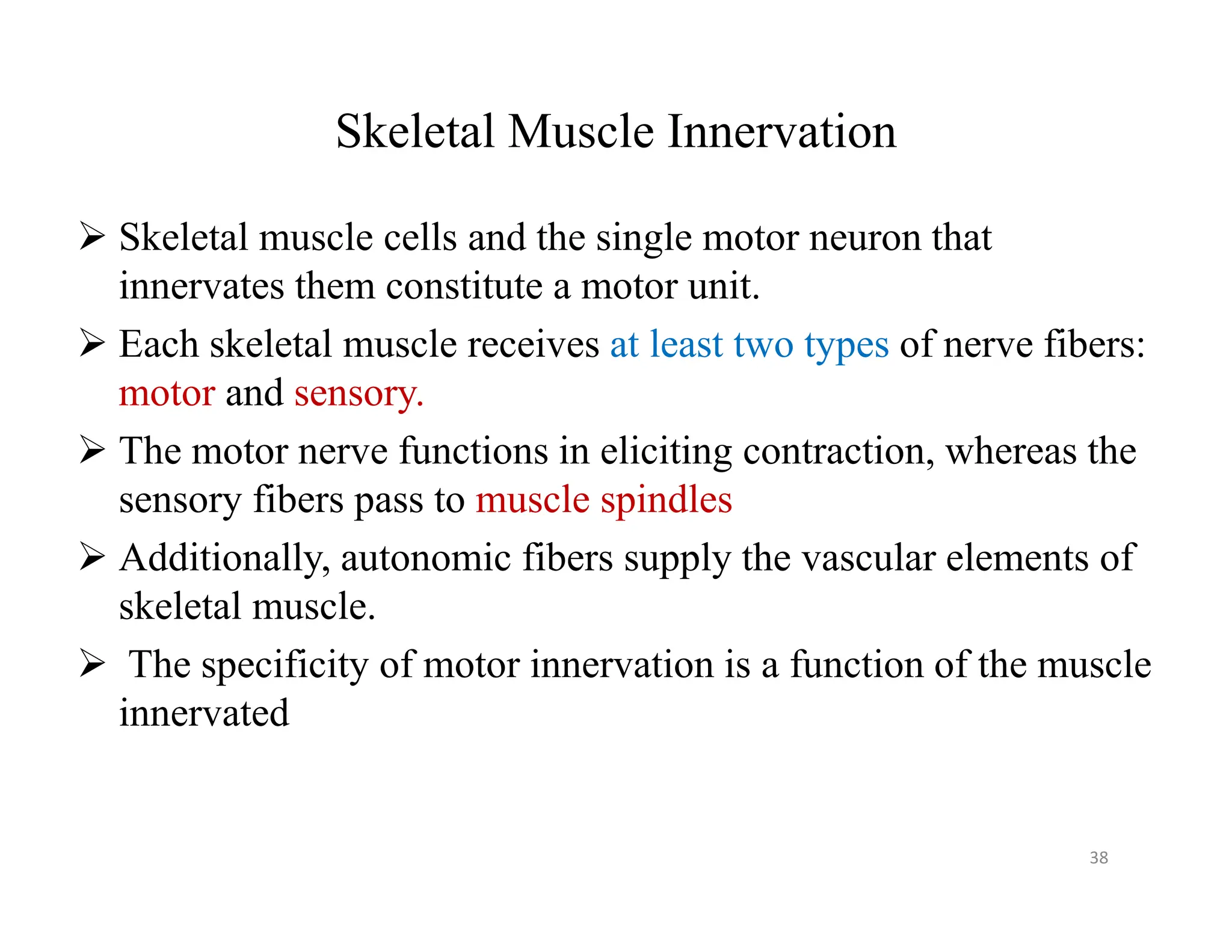 muscle tissue 2.pdffufygugyytyfyytygygygyf | PDF