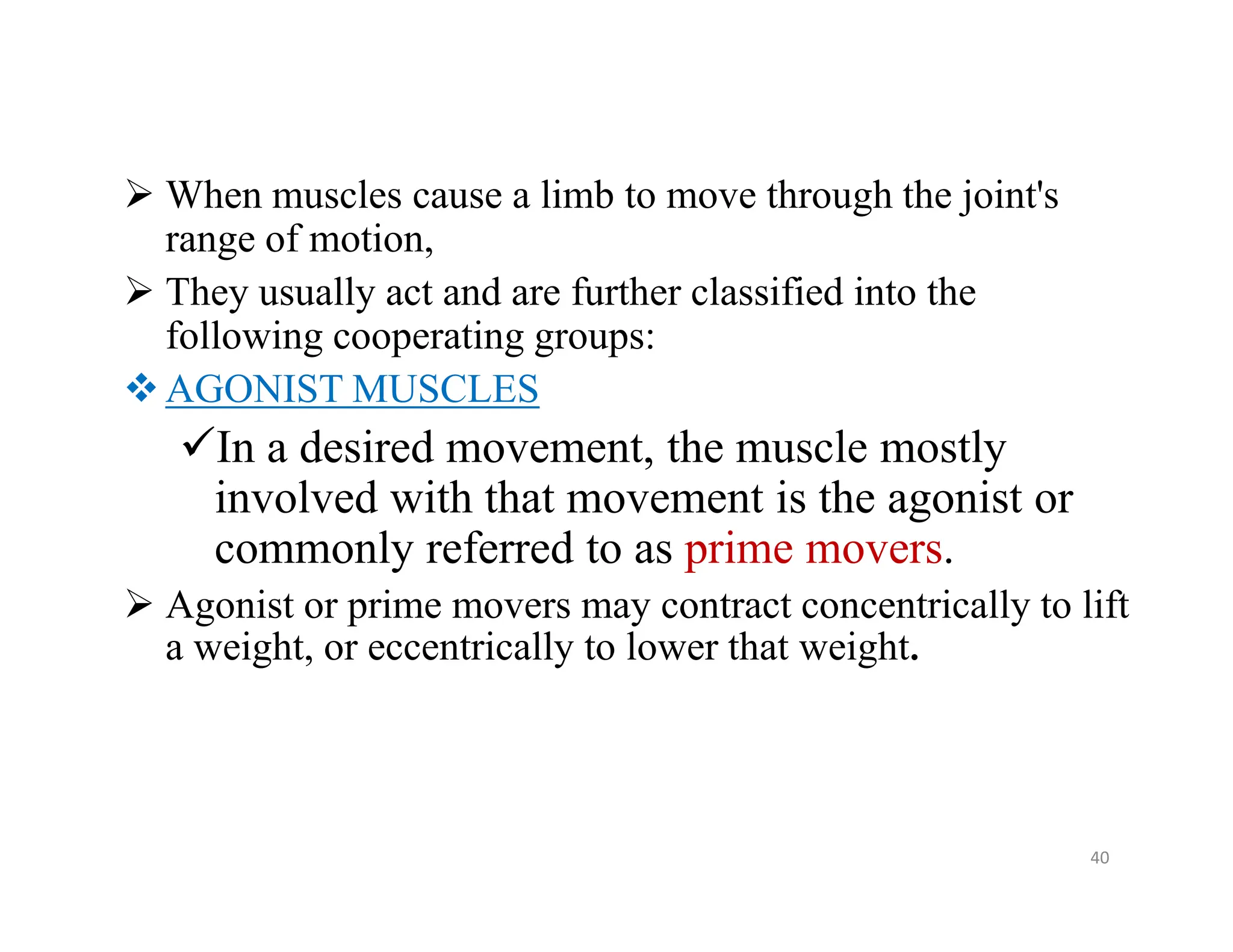 muscle tissue 2.pdffufygugyytyfyytygygygyf | PDF