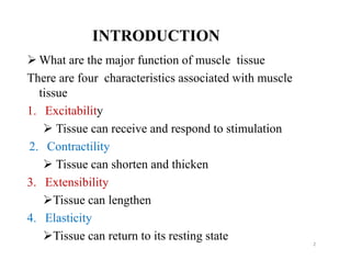 muscle tissue 2.pdffufygugyytyfyytygygygyf | PDF