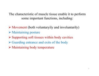 muscle tissue 2.pdffufygugyytyfyytygygygyf | PDF