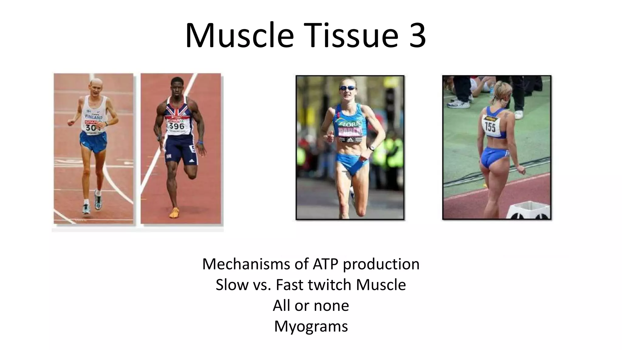 Muscle tissue 3 | PPT