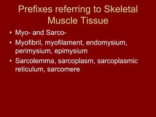Muscle tissue and organisation.ppt