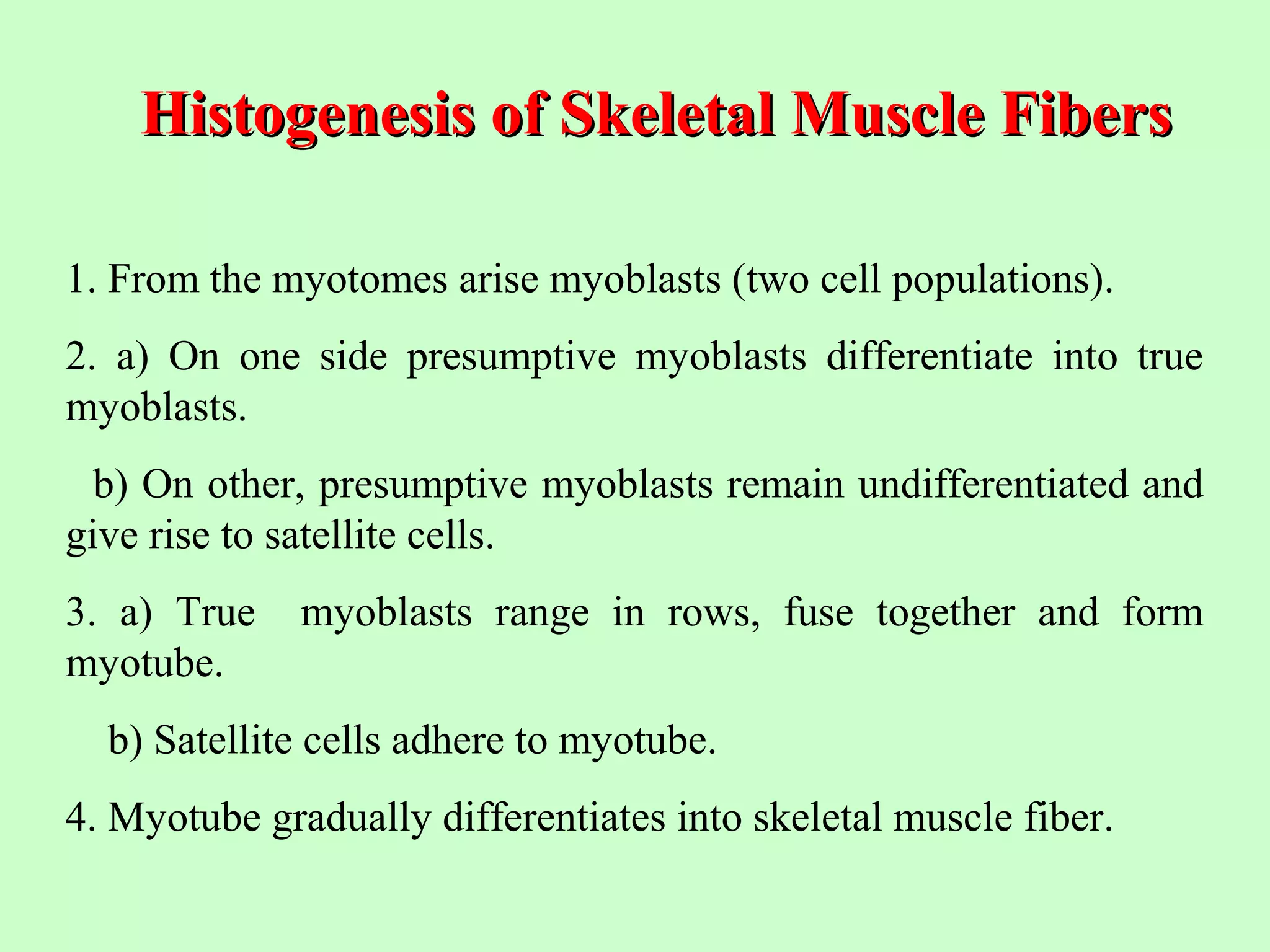 Histology of Muscle Tissues | PPT