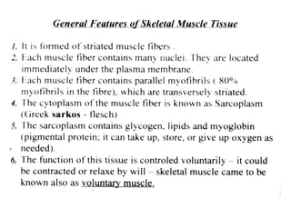 Histology of Muscle Tissues | PPT