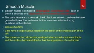 muscle tissues - KIUT.pptxhfhjfohggyiiugjjj | PPT