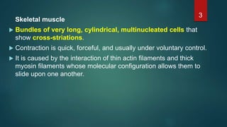 muscle tissues - KIUT.pptxhfhjfohggyiiugjjj | PPT