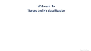 Muscle tissue slides | PDF