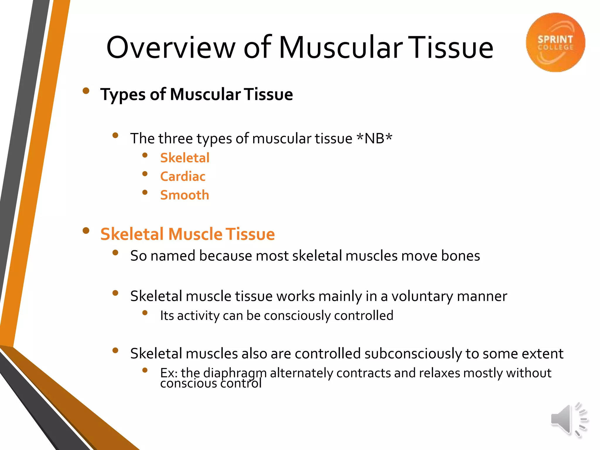 Muscle Tissue Types | PPTX