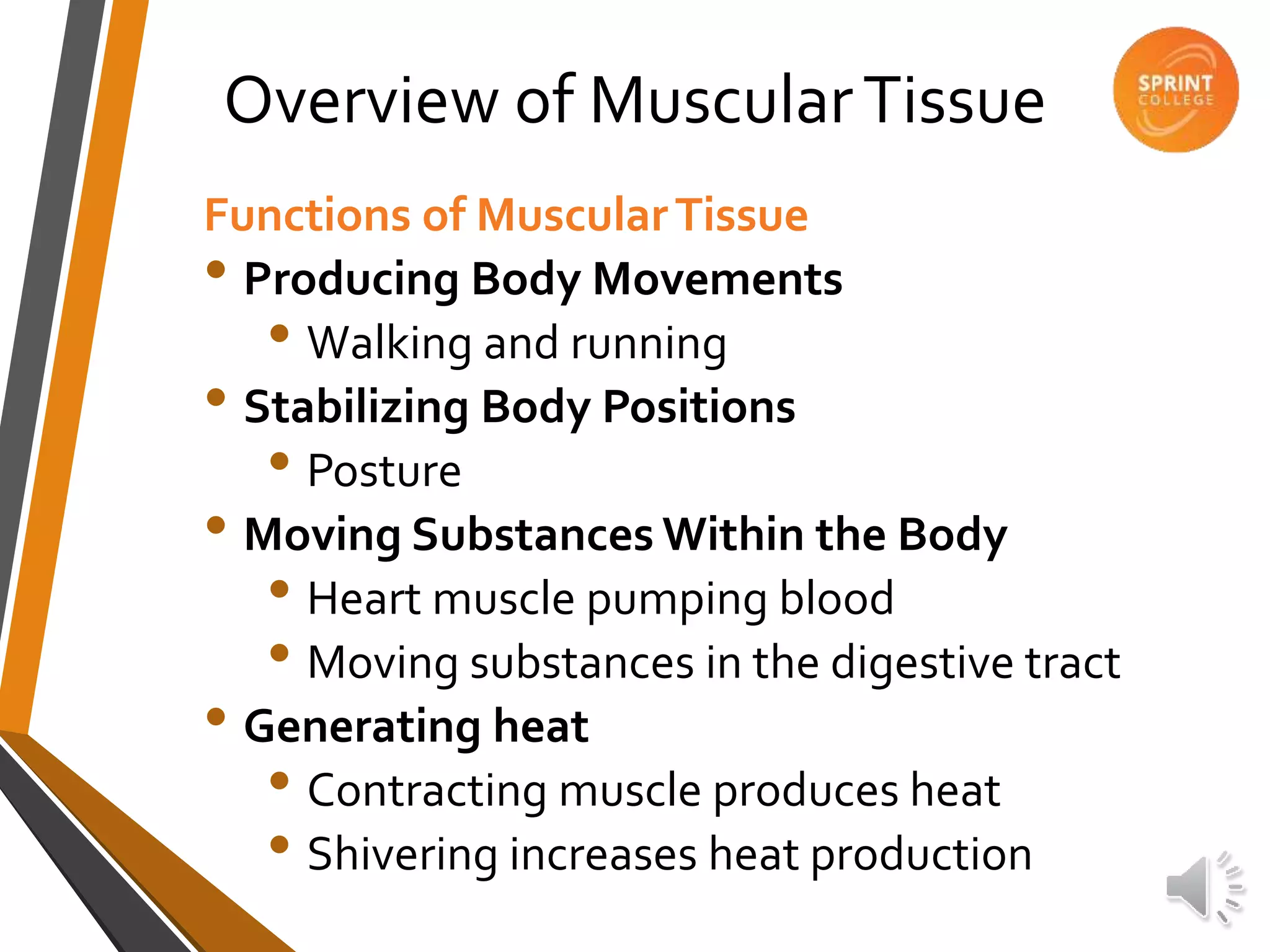 Muscle Tissue Types | PPTX