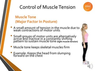 Muscle Tissue Types | PPTX