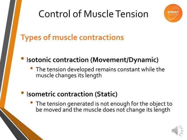 Muscle Tissue Types | PPTX | Physical Therapy | Wellness