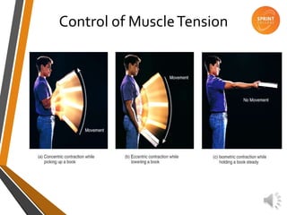 Muscle Tissue Types | PPTX