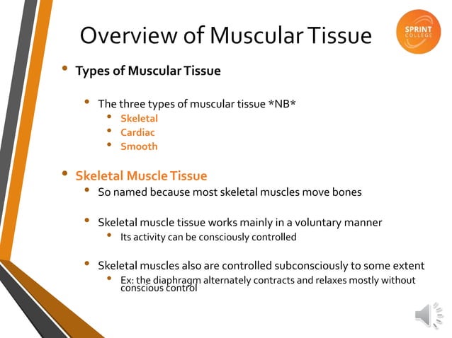 Muscle Tissue Types | PPTX | Physical Therapy | Wellness
